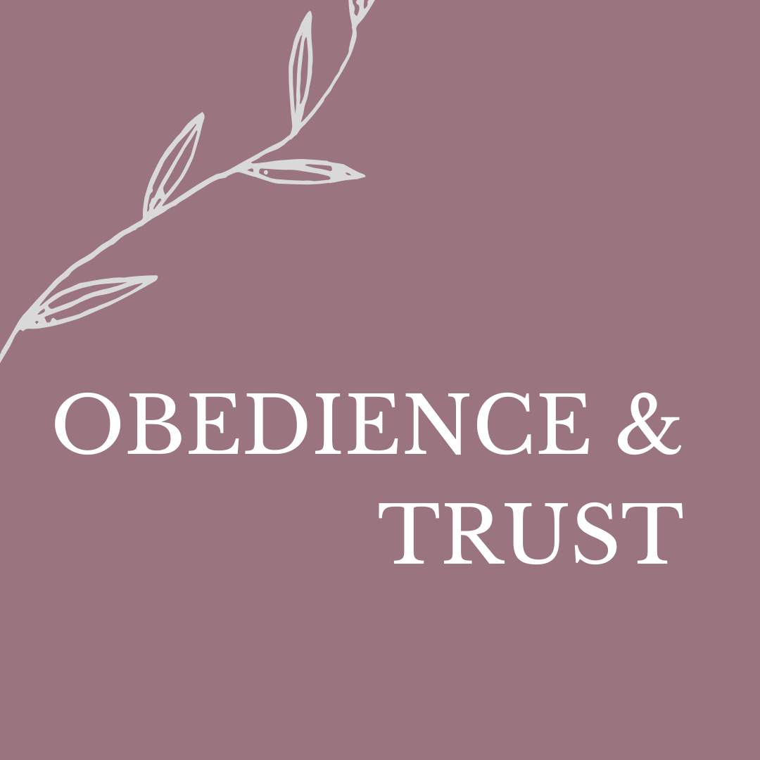 Resources – Biblical Parenting